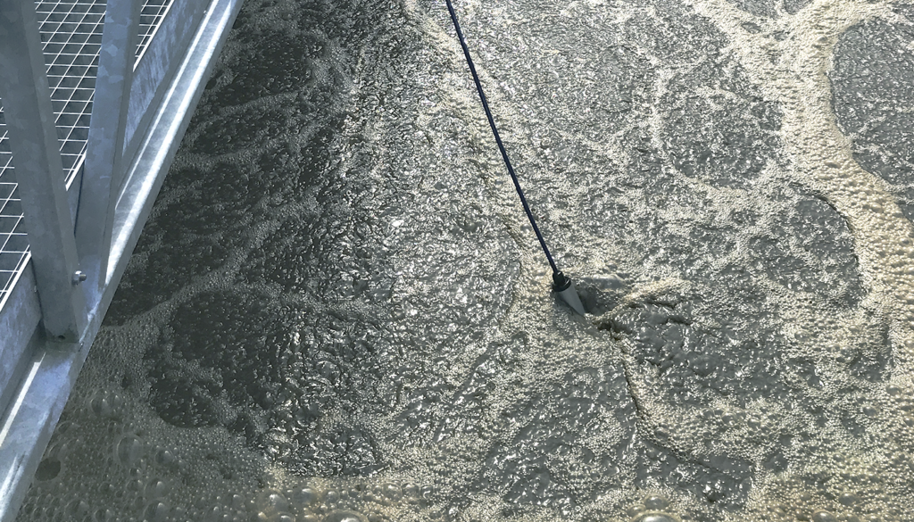 N2O Sensor Controls Emissions from Deammonification Processes