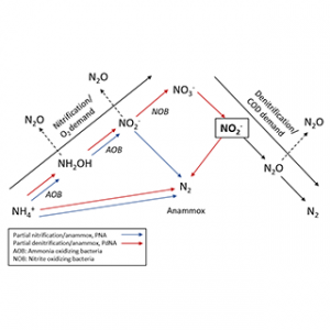 Contact Unisense Environment